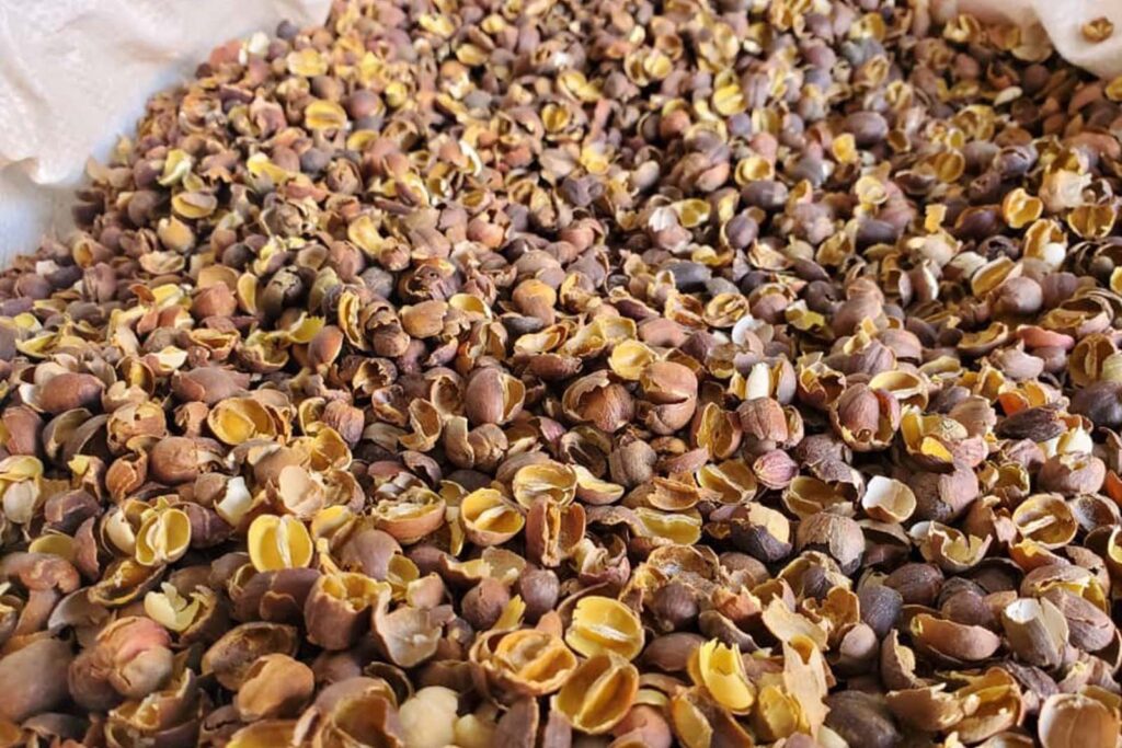 All you need to know about Yemeni coffee – ALMaroufi Mocha